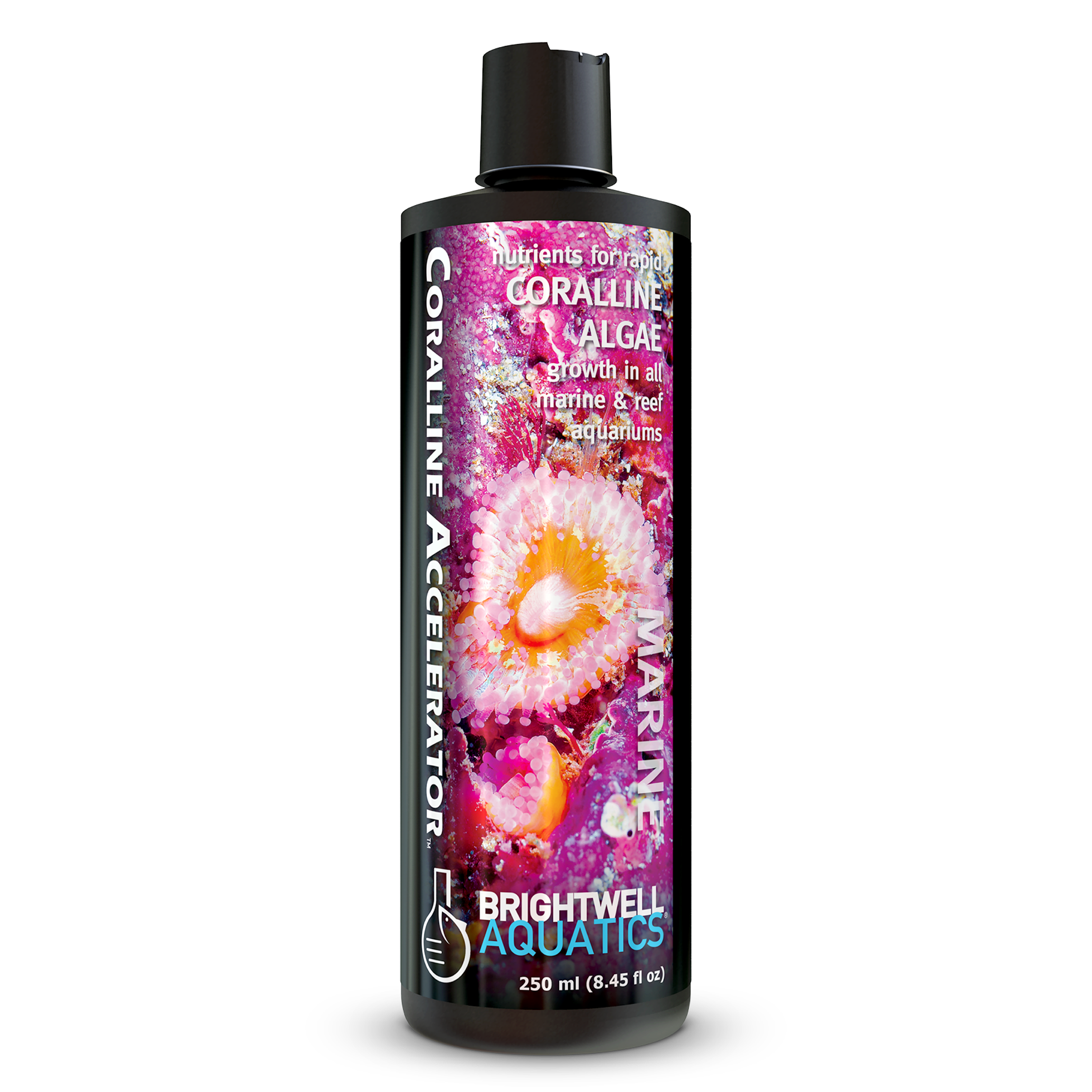 parameters for coralline algae